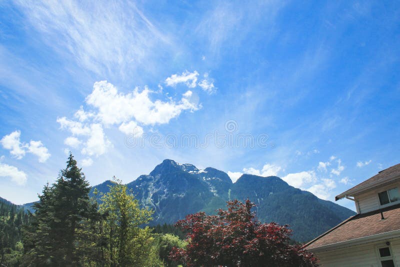 Blue sky above garden yard stock photo. Image of environment - 83705006