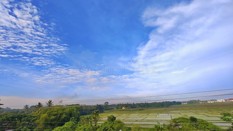 The Blue Sky Above the Rice Field Stock Image - Image of tree, plateau ...