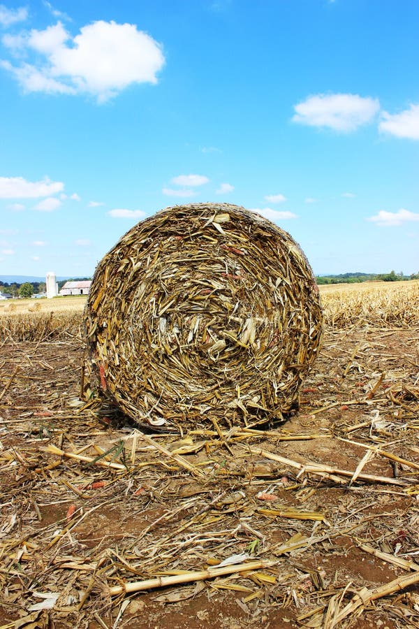 Blue Sky & Bale stock image. Image of bale, field - 61769043
