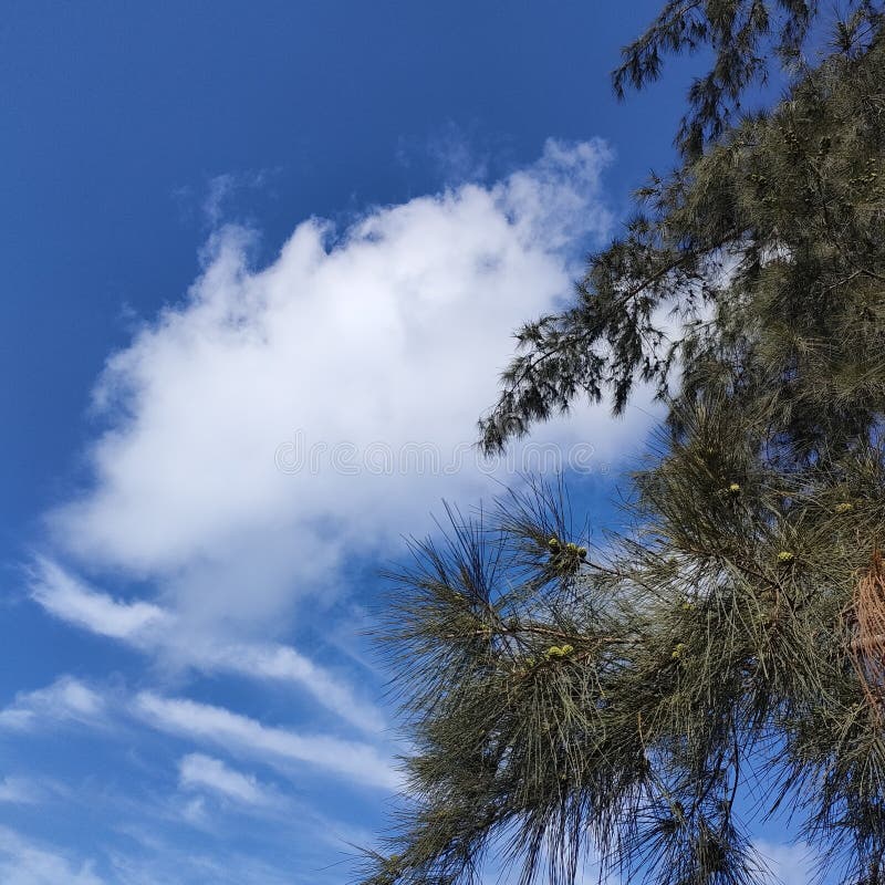 Blue Sky on the Beach Shot from Above Stock Image - Image of summer ...