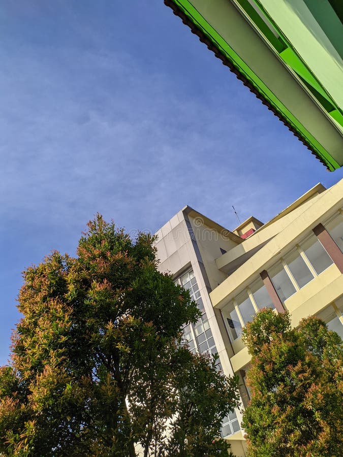 Blue Sky with Beautiful Buildings and Trees that Make the Heart Calm ...