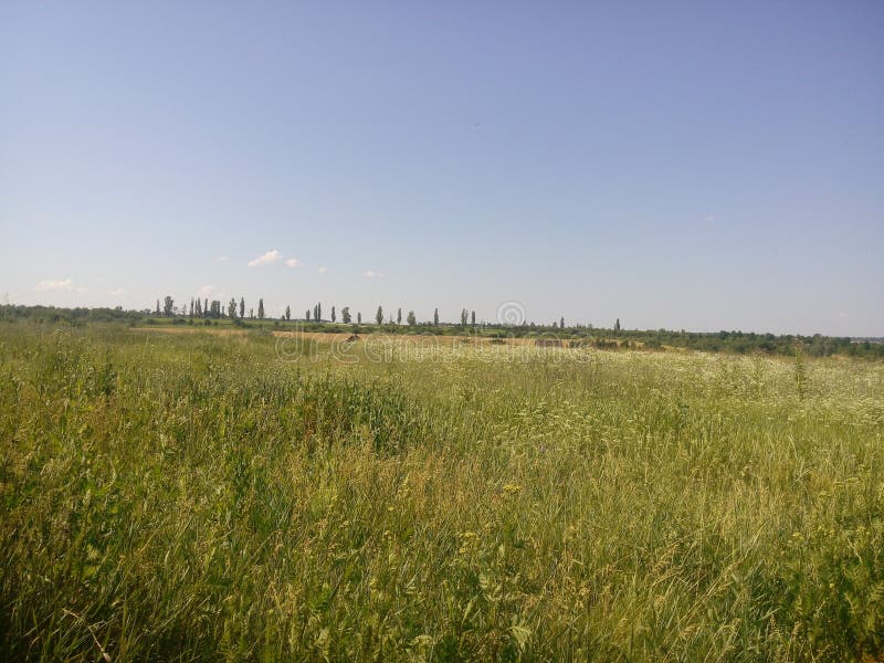 Blue Sky and Beautiful Cloud with Meadow Tree. Plain Landscape ...
