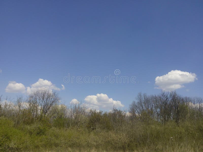 Blue Sky and Beautiful Cloud with Meadow Tree. Plain Landscape ...