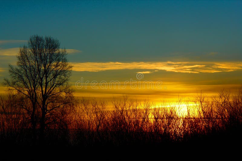 Blue sky, Beautiful Sunset stock photo. Image of landscape - 103719150