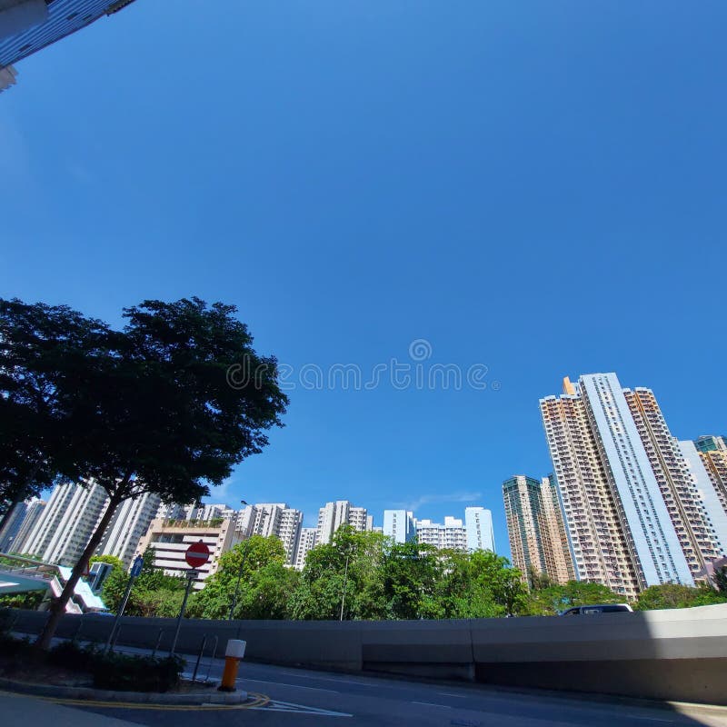 The Blue Sky is so Bright. is the Beauty of Nature that is ...