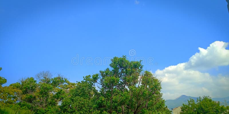 Blue sky stock photo. Image of greenery, clouds, captured - 132531632
