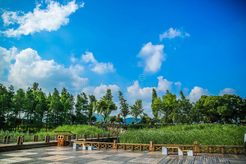 Blue sky stock image. Image of flat, china, reed, tree - 48267429