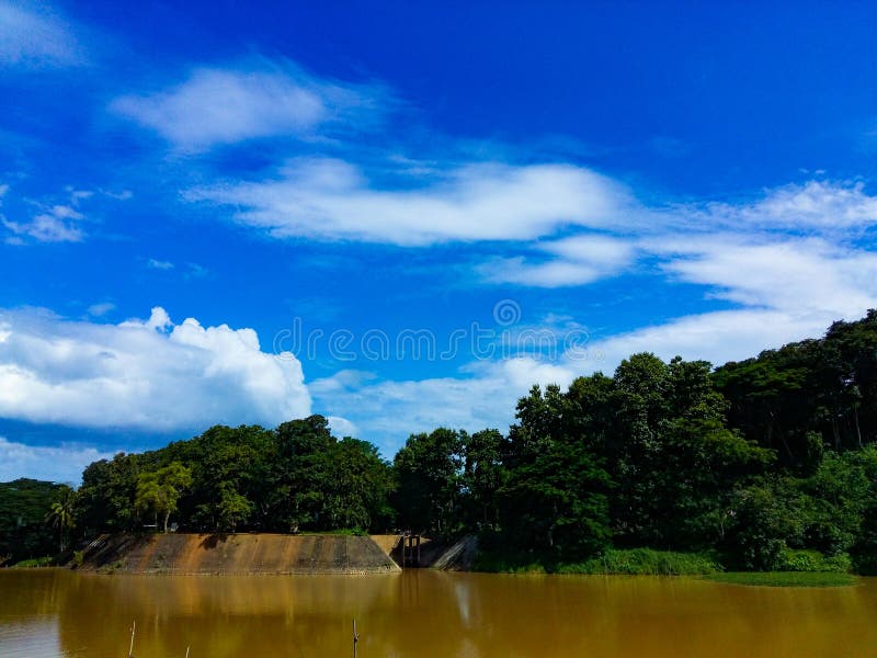 Dim Sum stock photo. Image of fastfood, dimsum, food - 95616666
