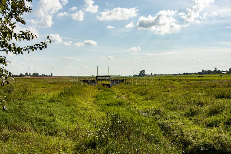 Blue Sky and Cloud with Meadow Tree. Plain Landscape Background for ...