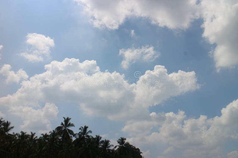 Blue Sky and Cloud with Meadow Trees. Plain Landscape Background for ...
