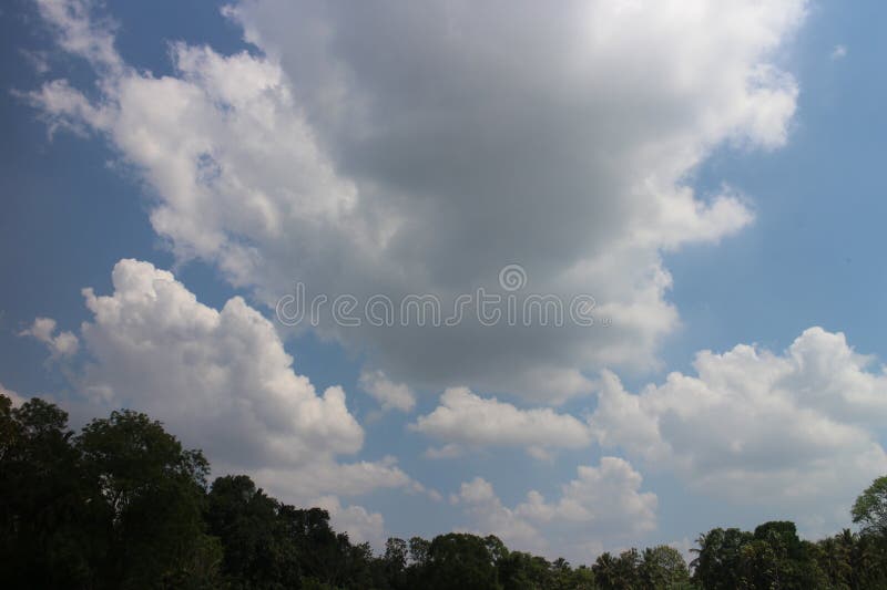 Blue Sky and Cloud with Meadow Trees. Plain Landscape Background for ...