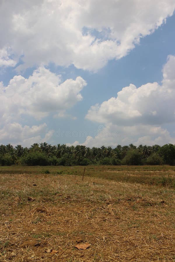 Blue Sky and Cloud with Meadow Trees. Plain Landscape Background for ...