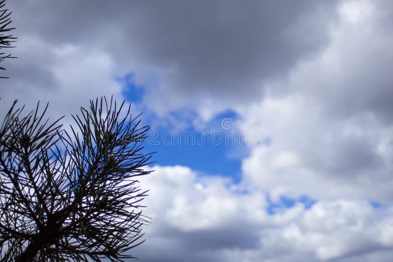 Blue Sky with Clouds, Cloudy Spring Day, Forest and Field Stock Photo ...