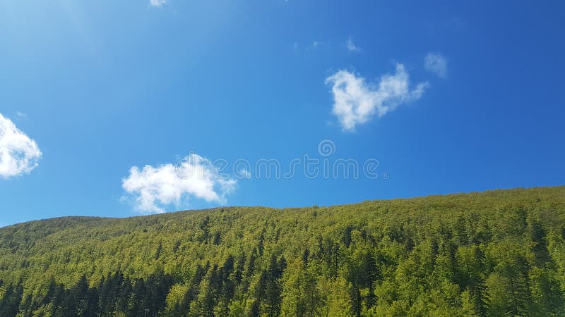 Windows Xp Background Stock Photos - Free & Royalty-Free Stock Photos ...