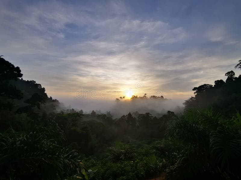 Blue Sky with Clouds Form Tropical Rainforest Stock Photo - Image of ...