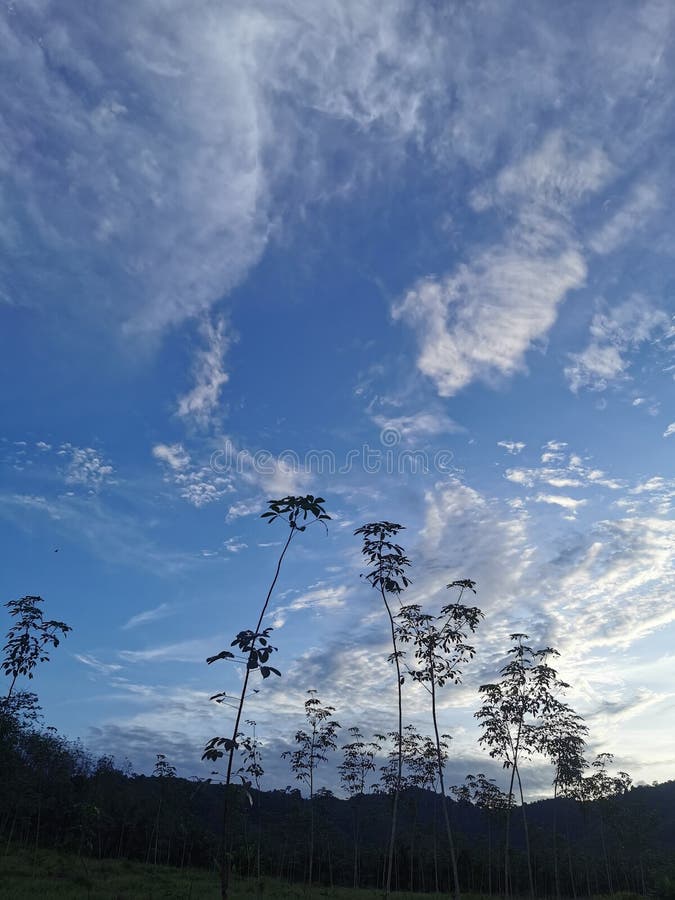 Blue Sky with Clouds Form Tropical Rainforest Stock Photo - Image of ...