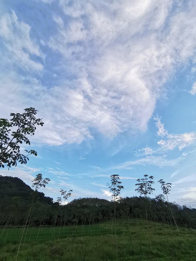 Blue Sky with Clouds Form Tropical Rainforest Stock Photo - Image of ...