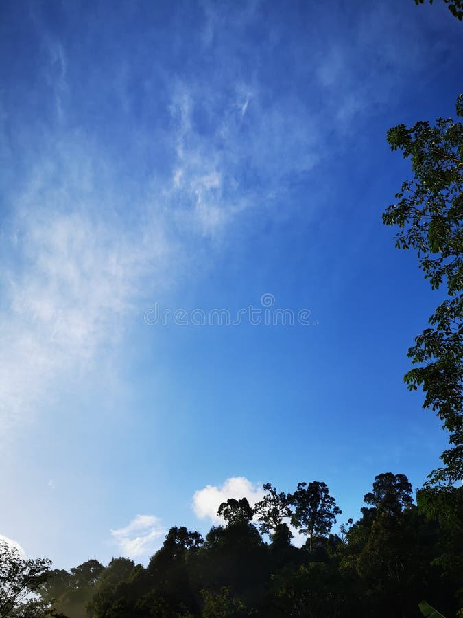 Blue Sky with Clouds Form Tropical Rainforest Stock Image - Image of ...