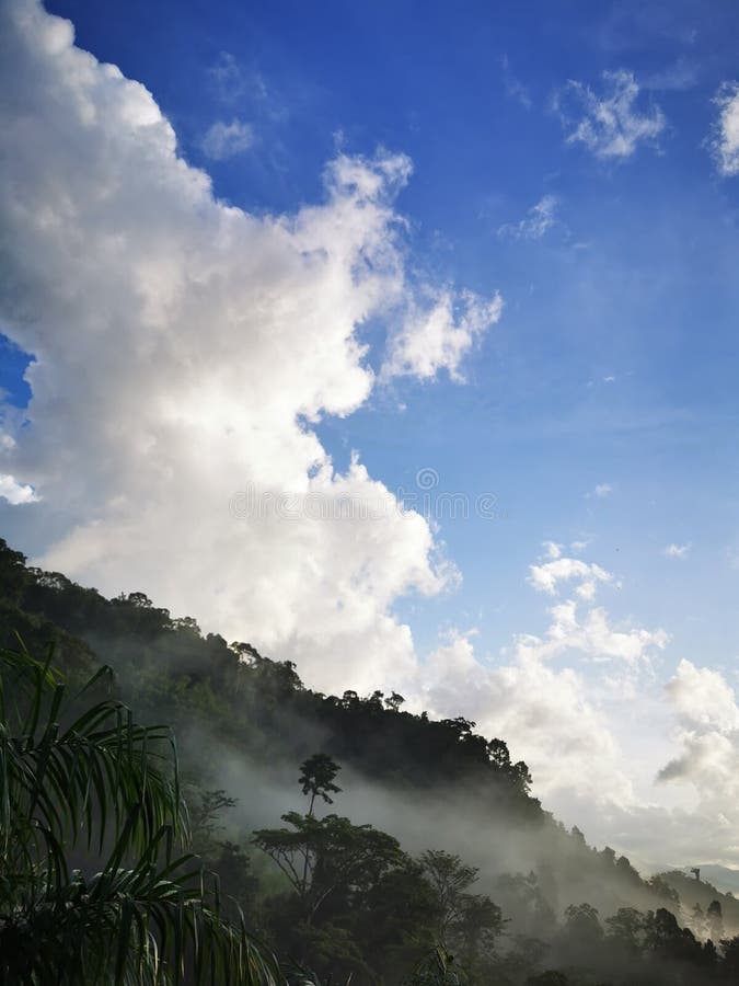 Blue Sky with Clouds Form Tropical Rainforest Stock Image - Image of ...