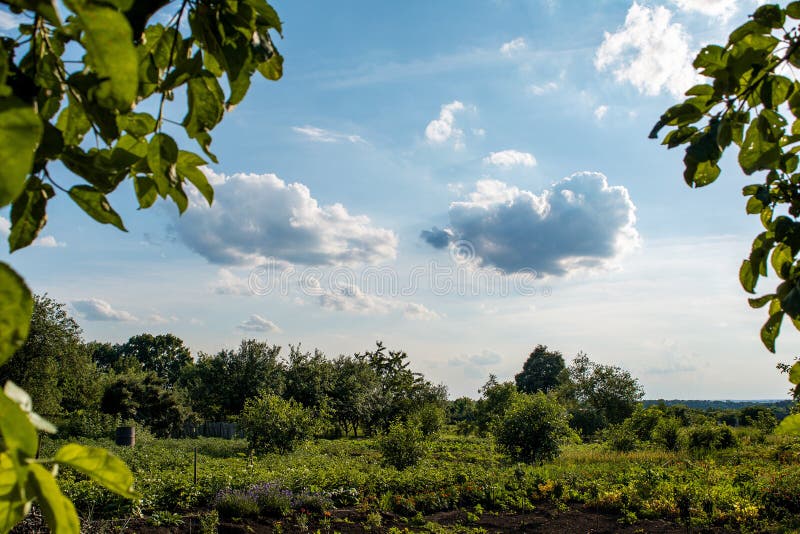 Blue Sky and Clouds Framed by Dark Green Texture Background of Rural ...