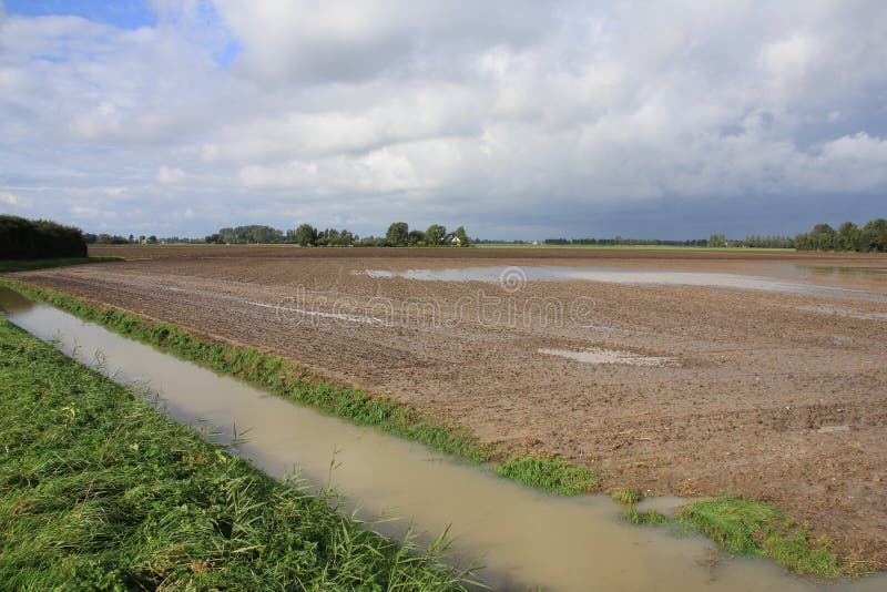 High Water Level at the Countryside in the Village Oudenhoorn in Fall ...