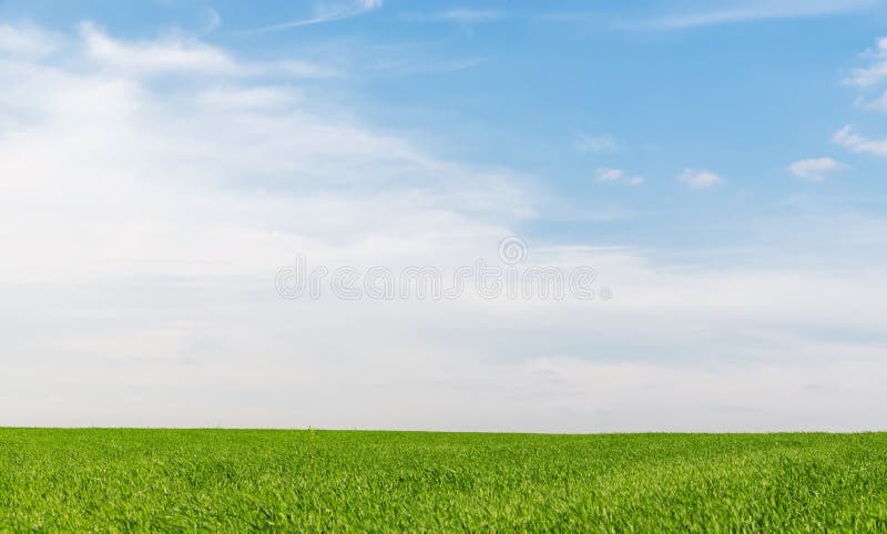 Blue Sky with Clouds Over Green Grass Field Stock Photo - Image of land ...