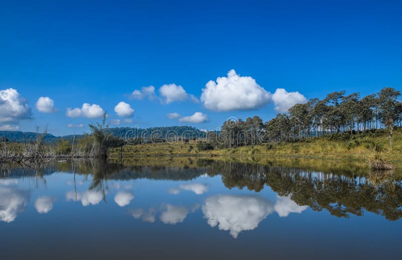 Blue Sky and Clouds with Reflections on the Nature Swamp Stock Image ...