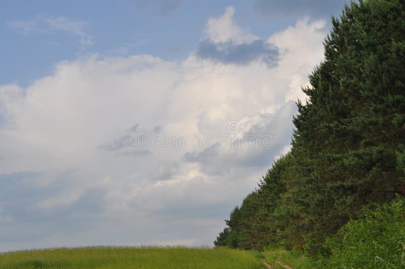 Blue sky stock photo. Image of hill, june, cumulus, vegetation - 73432688