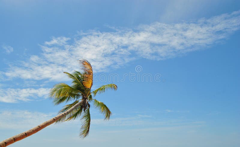 Marore Island, North Sulawesi, Indonesia Stock Image - Image of pulau ...