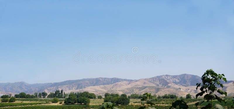 Blue Sky in the Distance Over Trees and Mountains Stock Photo - Image ...