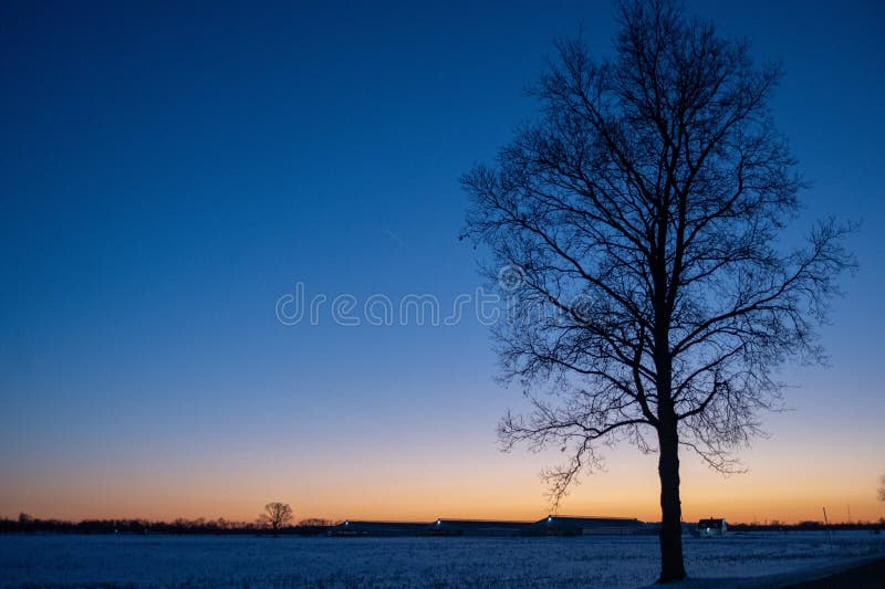 Blue sky at dusk stock image. Image of frost, sunlight - 178504343