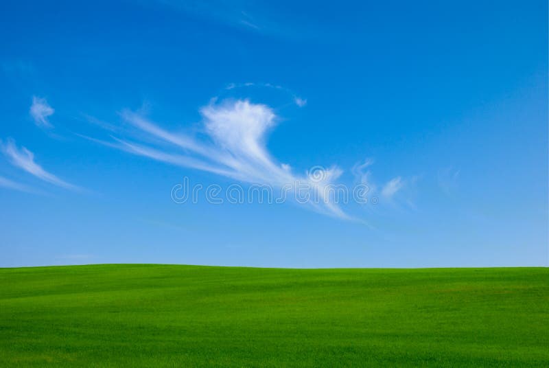 Blue sky and field stock photo. Image of grass, fresh - 11867390