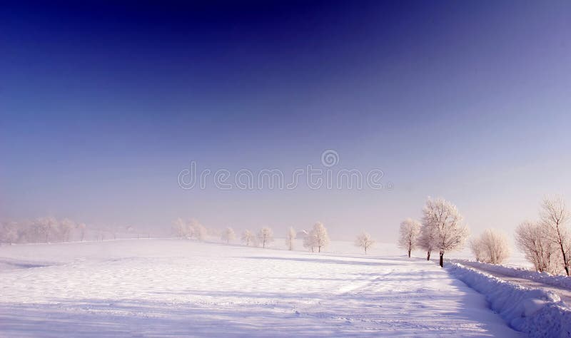 Countryside and Meadow Landscape Stock Photo - Image of terrain ...