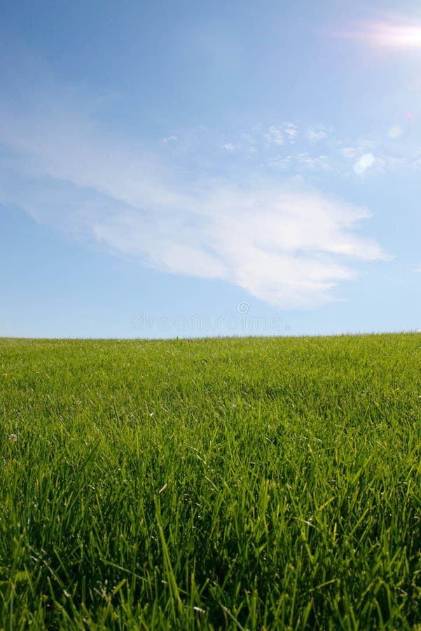Wide Open Prairie with Lush Green Grass Stock Photo - Image of ...