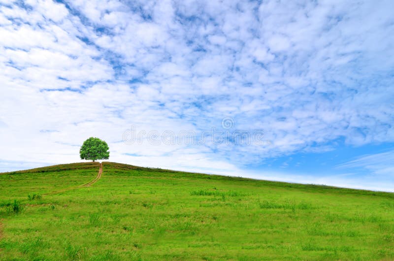 Blue Sky, Green Fields stock image. Image of pathway - 31168701