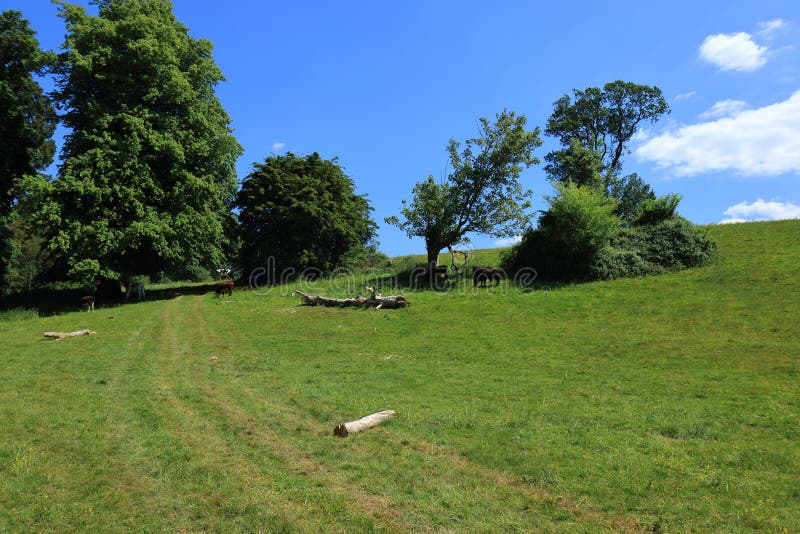 Blue Sky and Green Fields in Westerham Stock Photo - Image of cloudy ...