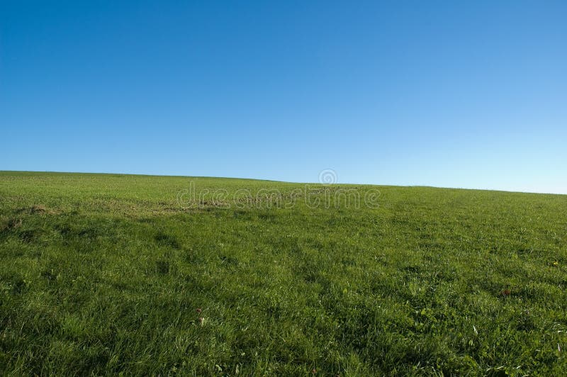 Blue sky, green grass stock photo. Image of field, natural - 645382