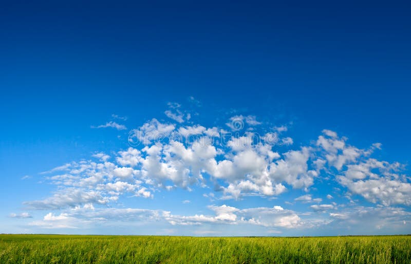 Blue sky green grass stock photo. Image of field, grass - 9785876