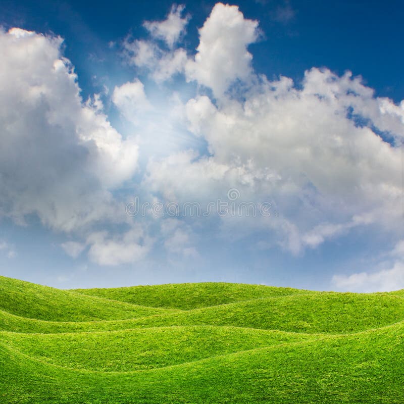 Blue Sky and Green Grass Meadow Stock Photo - Image of season, daylight ...