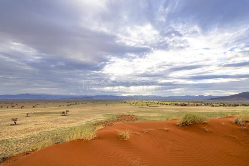 Blue Sky, Green Grass and Red Sand Dune Stock Photo - Image of dirt ...
