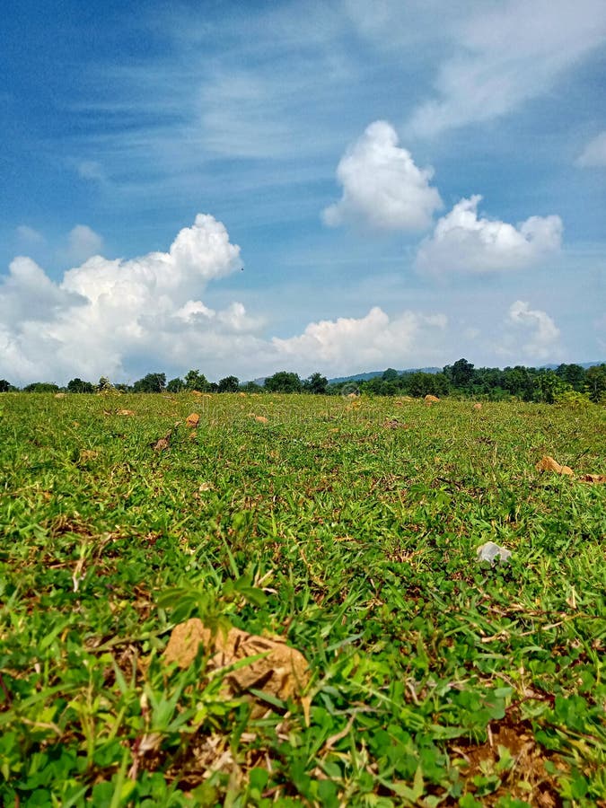 The Blue Sky Green Grass Valley Stock Photo - Image of green, grass ...