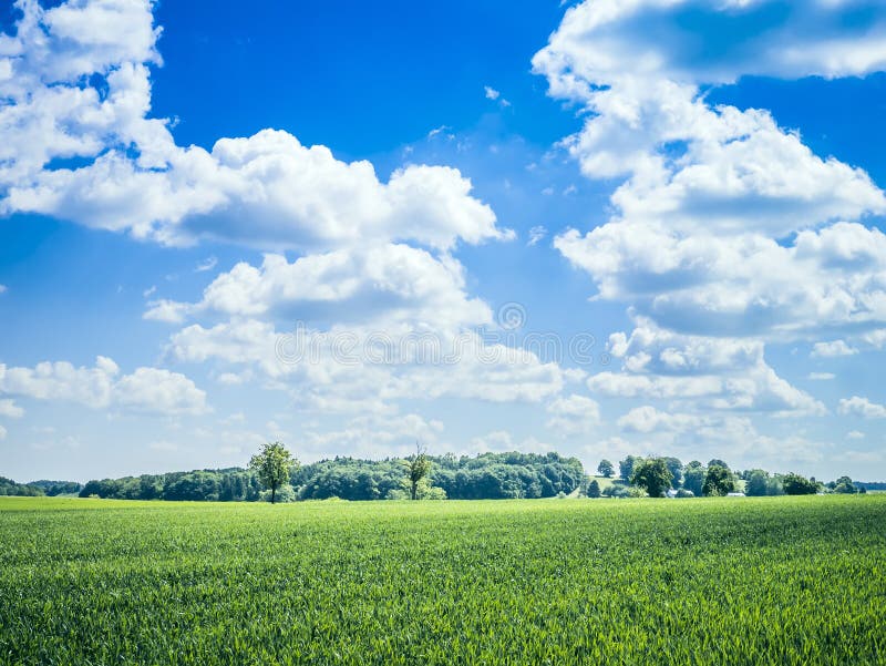 Blue sky green meadow stock image. Image of meadow, cloud - 31515475