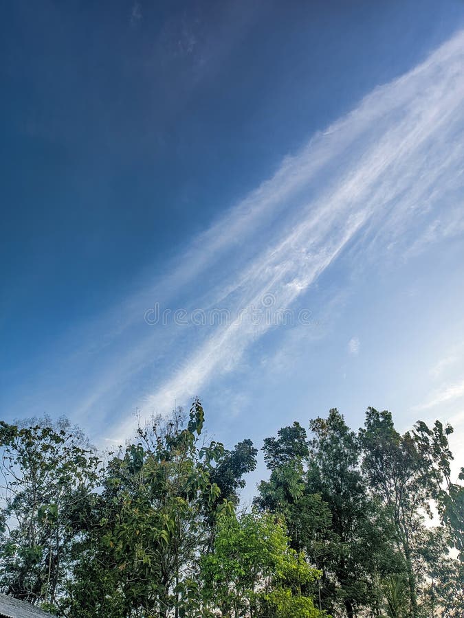 Blue Sky with Green Shady Trees Stock Photo - Image of biru, rindang ...