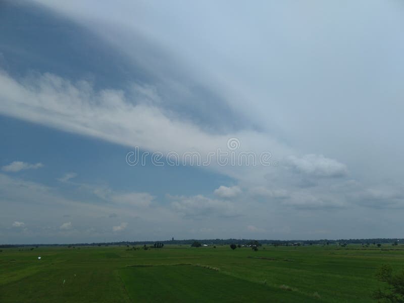 Blue sky greenfield stock image. Image of pasture, agriculture - 194769177