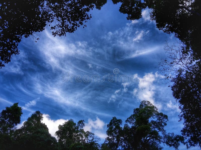 The blue sky in hdr stock photo. Image of blue, flora - 68161240