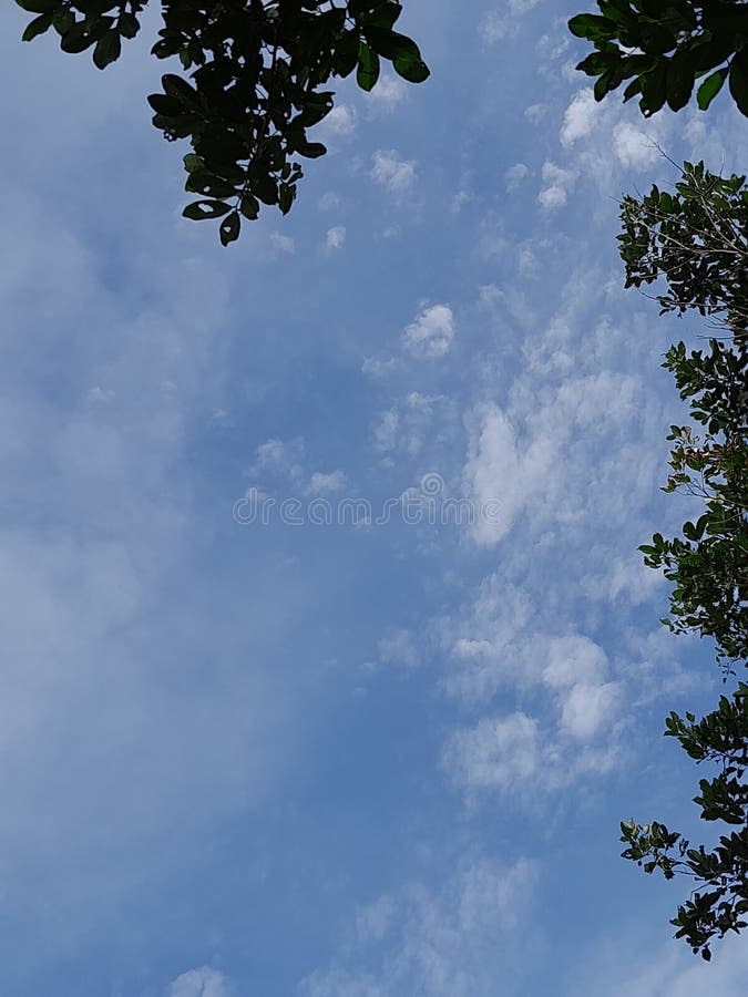 Blue sky stock image. Image of front, clound, yard, blue - 261675063