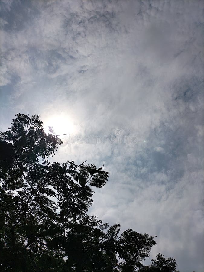 Blue sky with little cloud stock image. Image of morning - 227853101