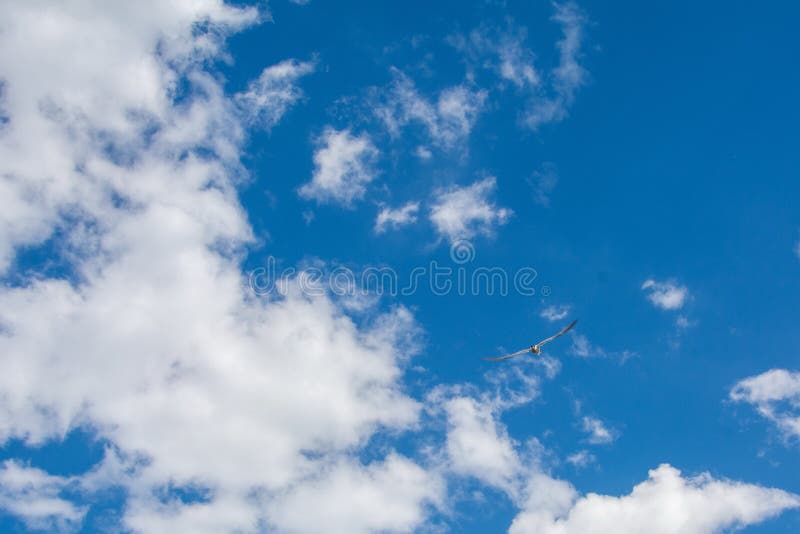 Blue Sky and Lots Small Clouds Pattern Stock Photo - Image of ...