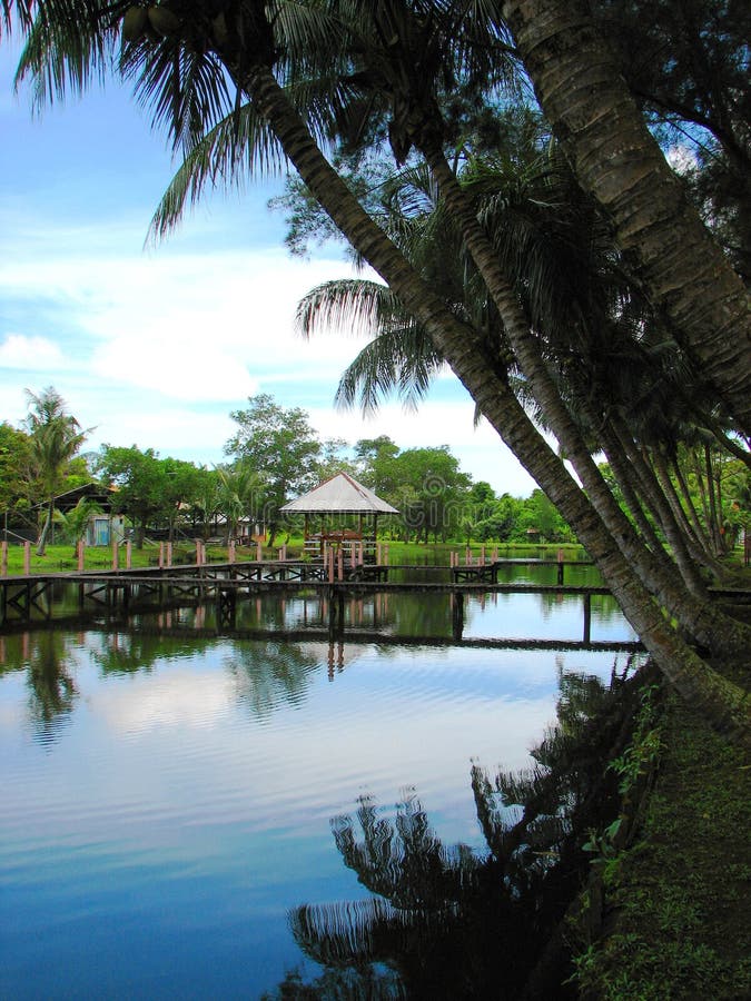 Blue Sky at Miri Crocodile Farm, Borneo, Malaysia Stock Photo - Image ...
