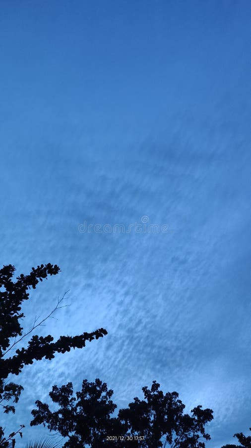 Blue sky morning stock photo. Image of blue, morning - 265816606